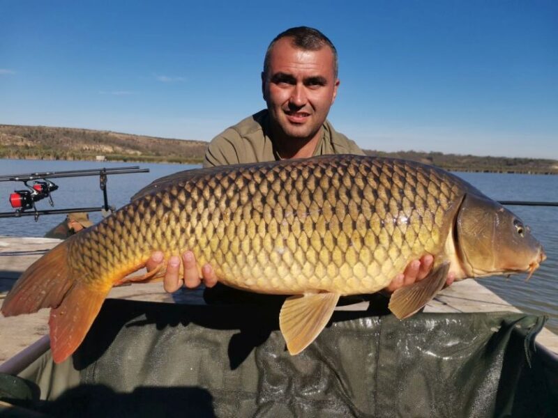 Balta Vlahi-Cupa Dobrogeană – APS Tomis